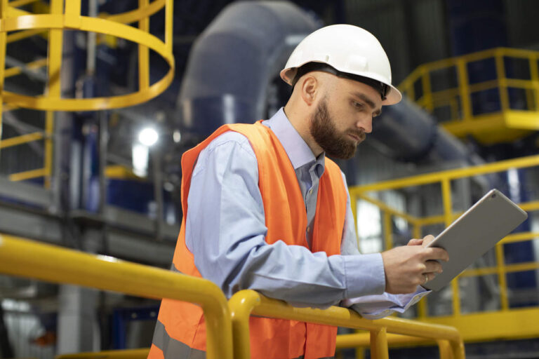 Quais são os tipos de inspeção, quem realiza e qual a importância ...